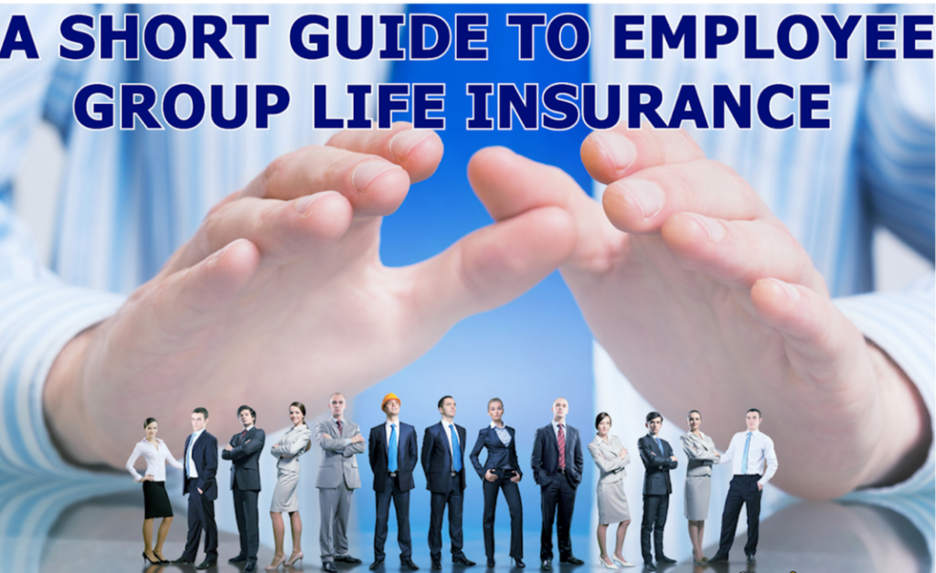 Short Guide To Employee Group Life Insurance Benefits – Dhamakaapp